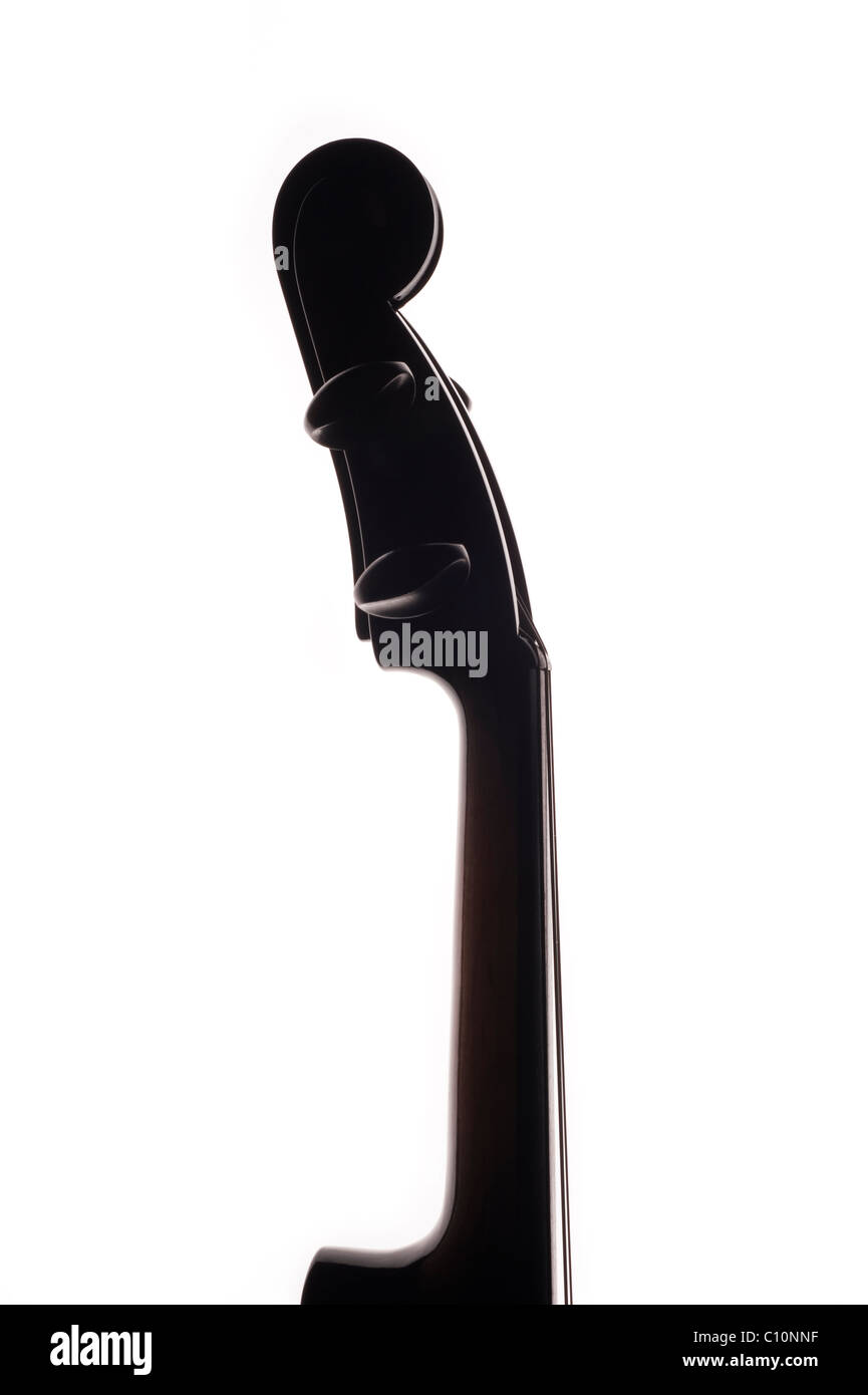 Side view of neck, scroll and pegbox of an electric violin on a white ...