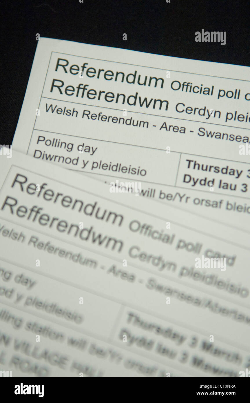 Voting cards hi-res stock photography and images - Alamy