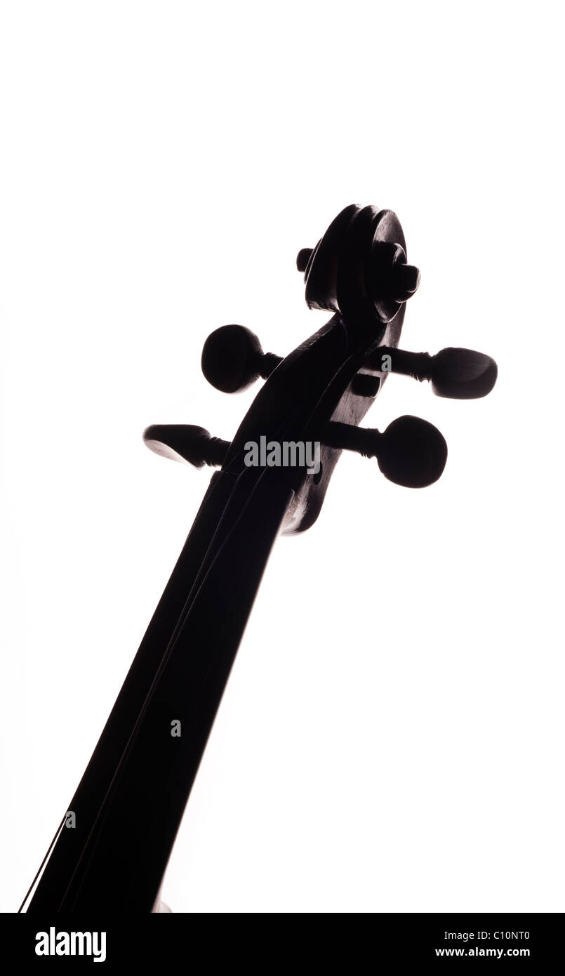 Neck, scroll and pegbox of a traditional wood violin on a white ...