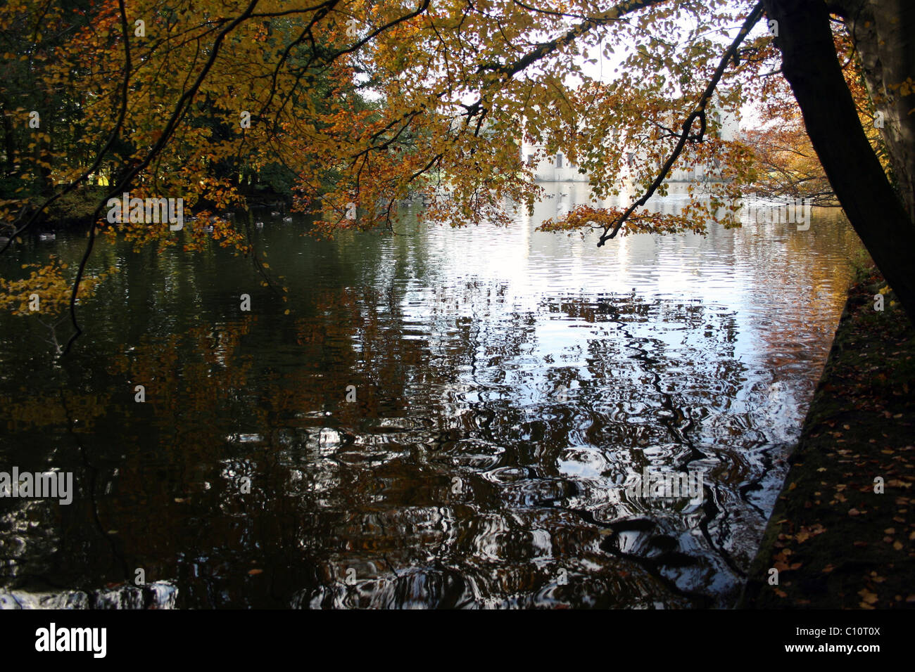 Brabant flamand, Meise, Belgique Stock Photo - Alamy