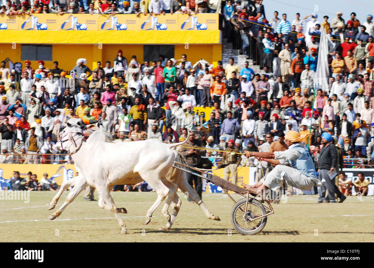 Indian villagers compete in a horse cart race during the 74th Kila ...