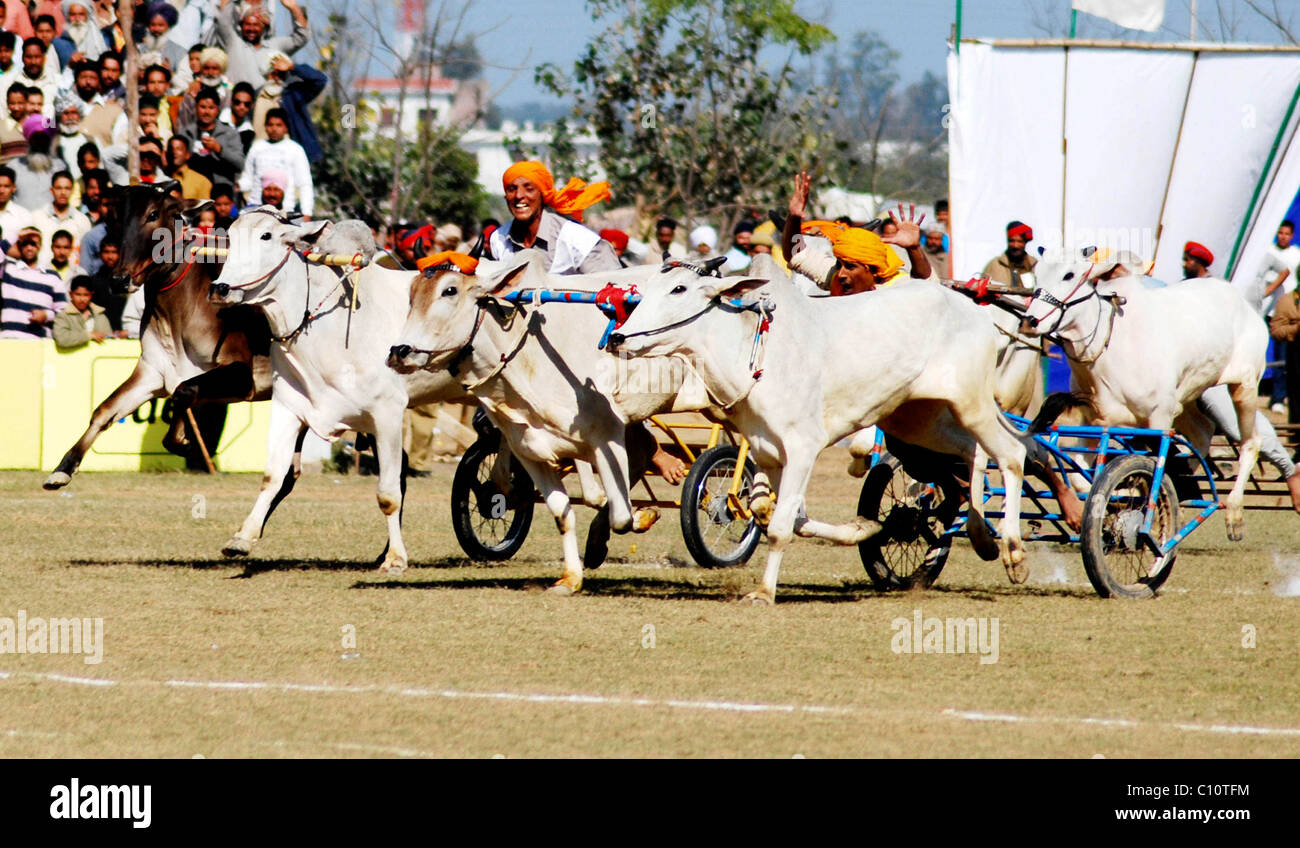 Indian villagers compete in a horse cart race during the 74th Kila ...