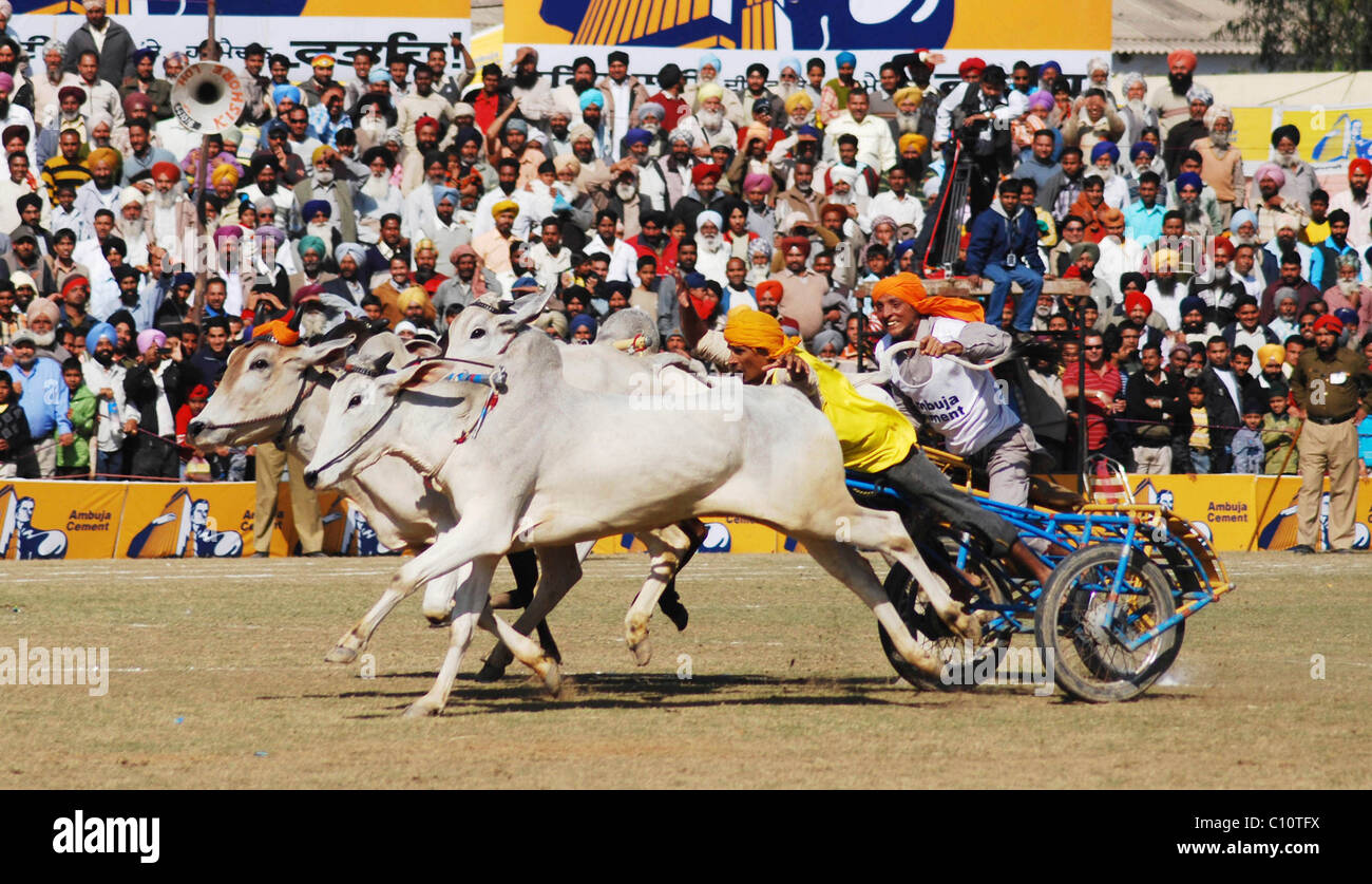 Indian villagers compete in a horse cart race during the 74th Kila ...