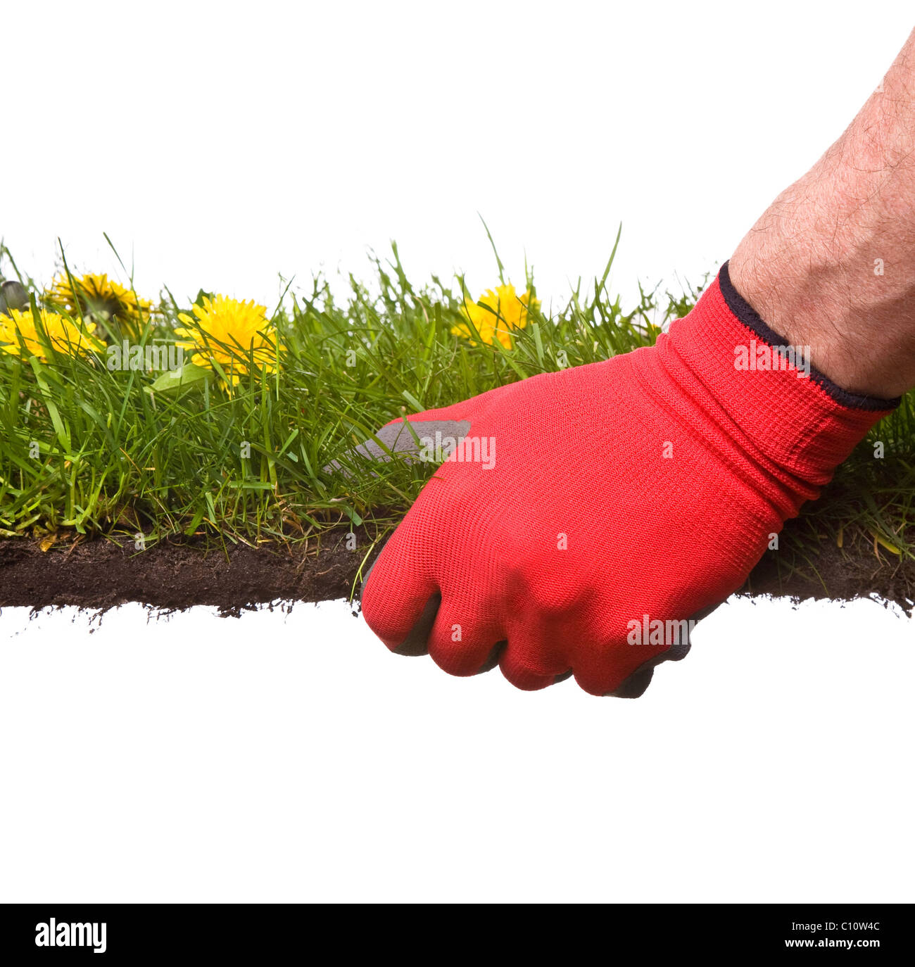 Gardening metaphor hi-res stock photography and images - Alamy