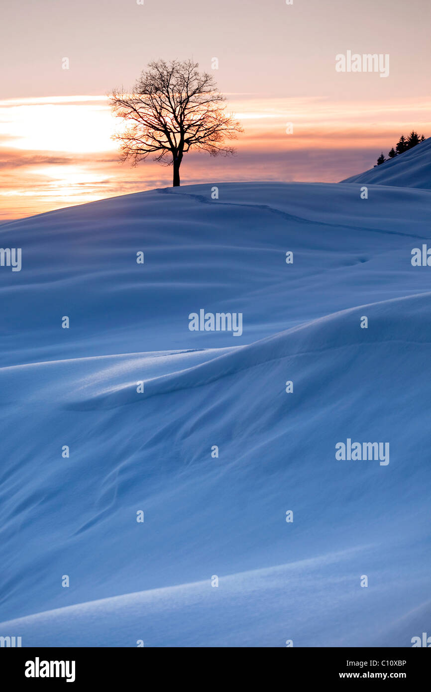 Winter evening with fresh snow in the Alpstein range, Appenzell, East ...