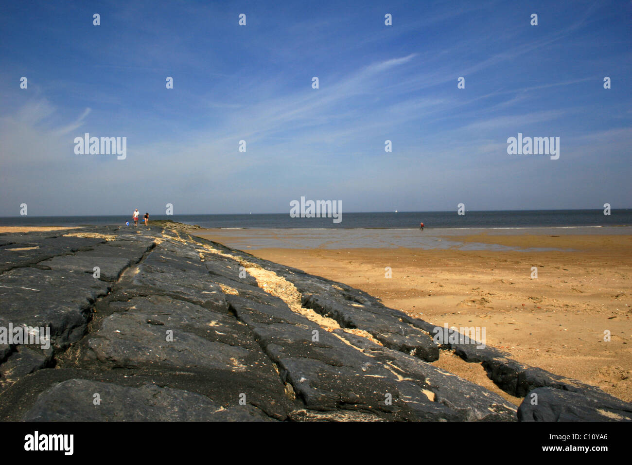Zwin High Resolution Stock Photography and Images - Alamy