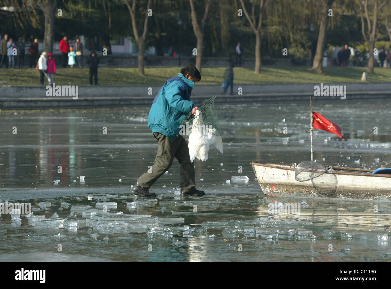 Duck rescued from frozen lake Park workers mastermind the rescue of ...