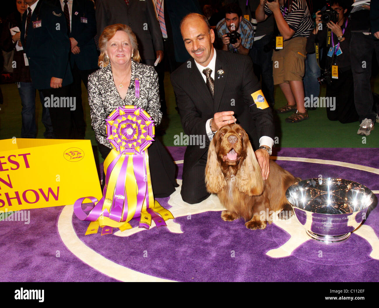 Scott Somer Winner Best in Show, Stump (Sussex Spaniel) The 133rd ...