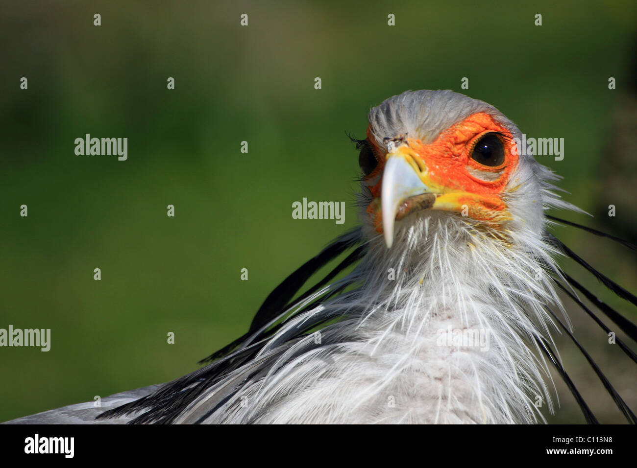 Wallonie, Brugelette, Belgique Stock Photo - Alamy