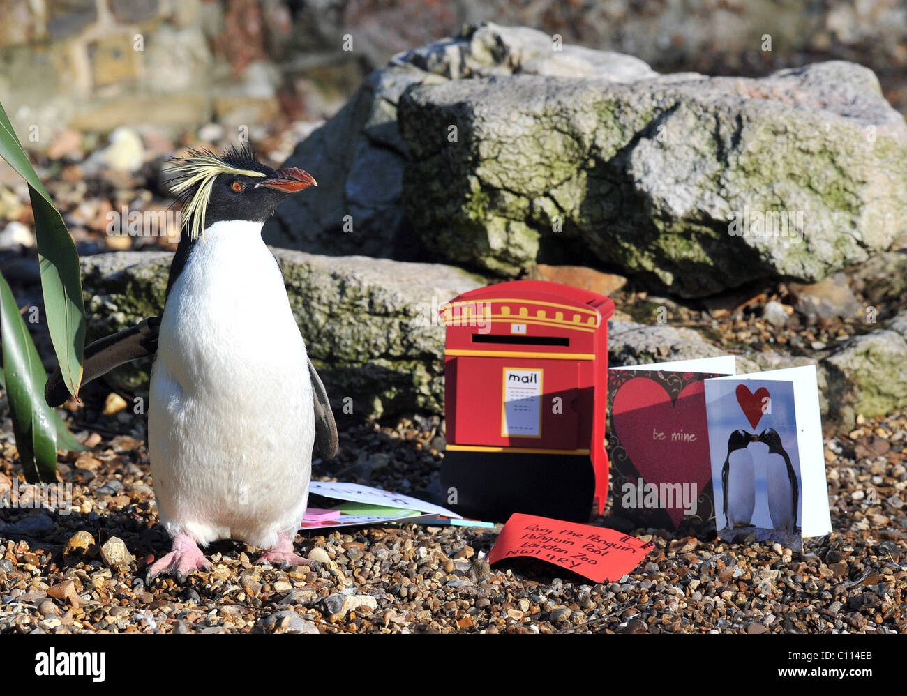 London zoo this valentines day hi-res stock photography and images - Alamy
