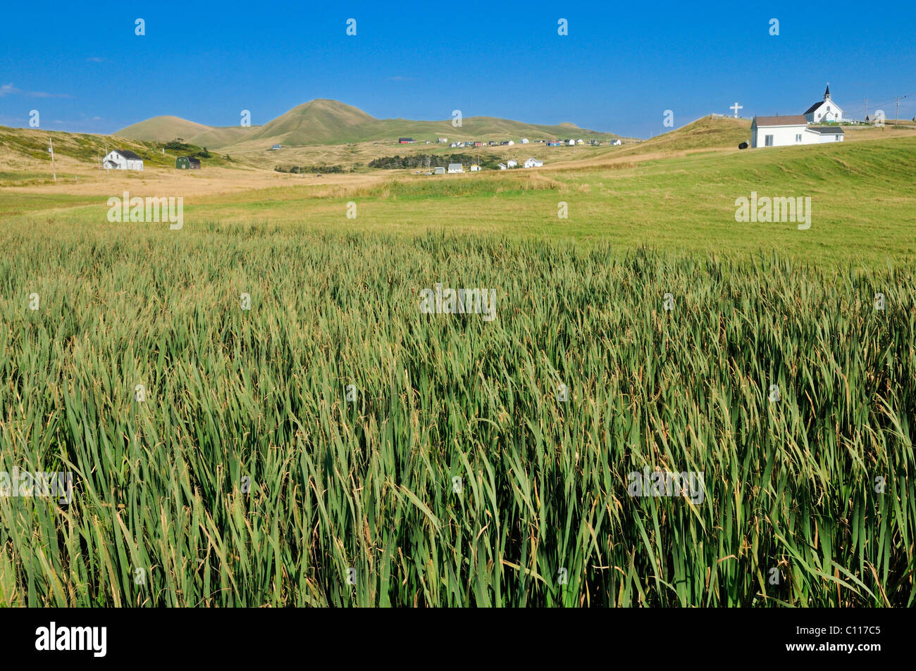 Farmhouse on the treeless meadows of Ile d'Entree, Entry Island, Iles ...