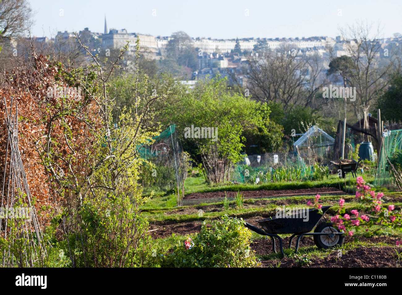 Allotments bristol hi-res stock photography and images - Alamy