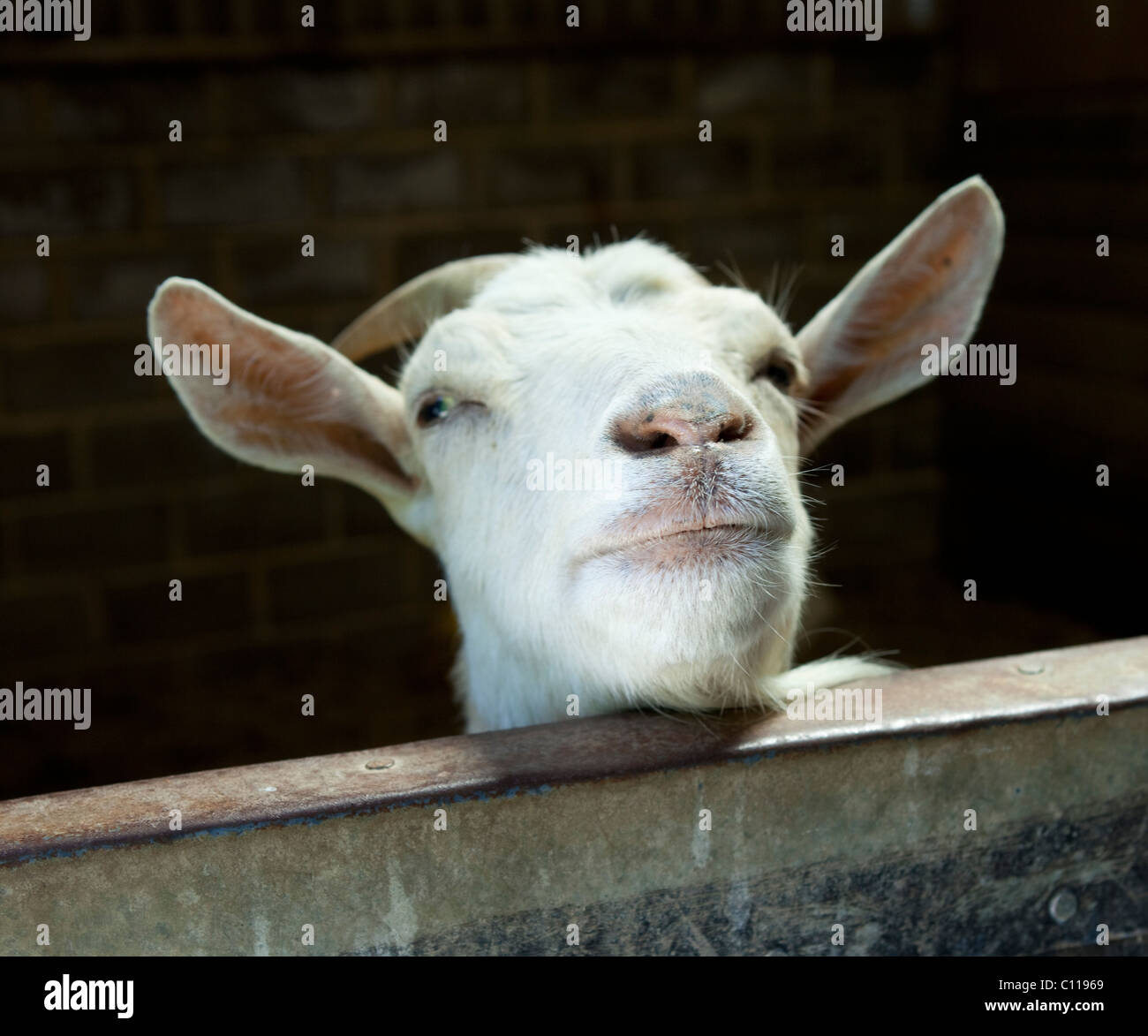 North wheddon farm hi-res stock photography and images - Alamy