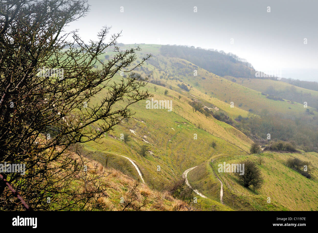South downs at Ditchling Beacon ,Sussex Stock Photo - Alamy