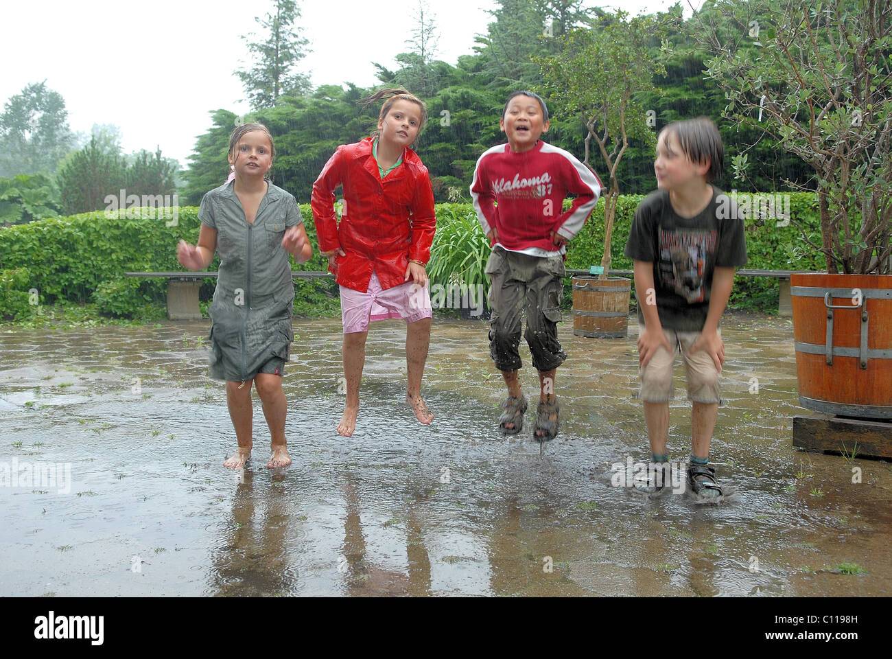 Four children jumping in rain and puddle Stock Photo - Alamy