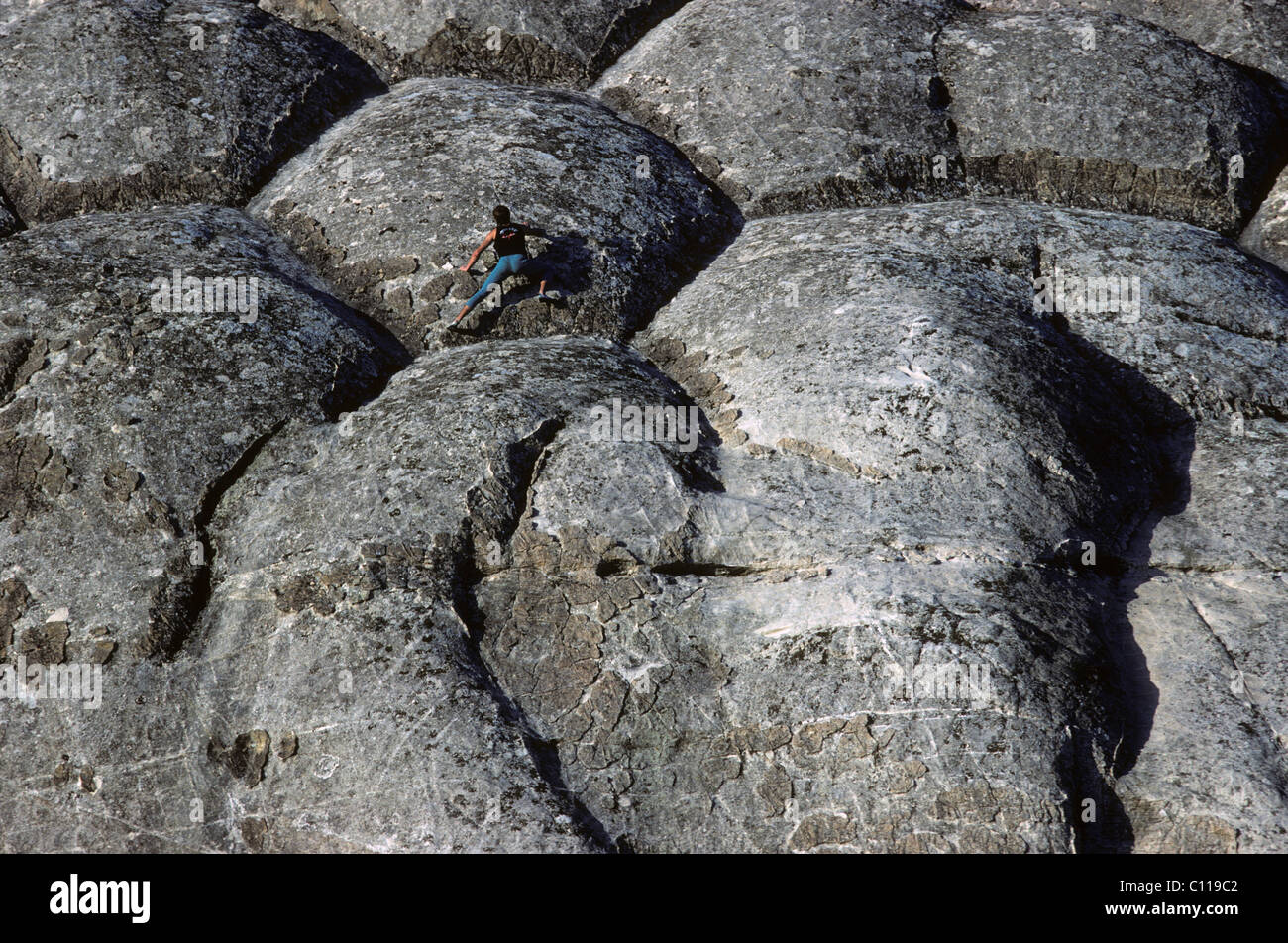 Little Honeycomb High Resolution Stock Photography and Images - Alamy