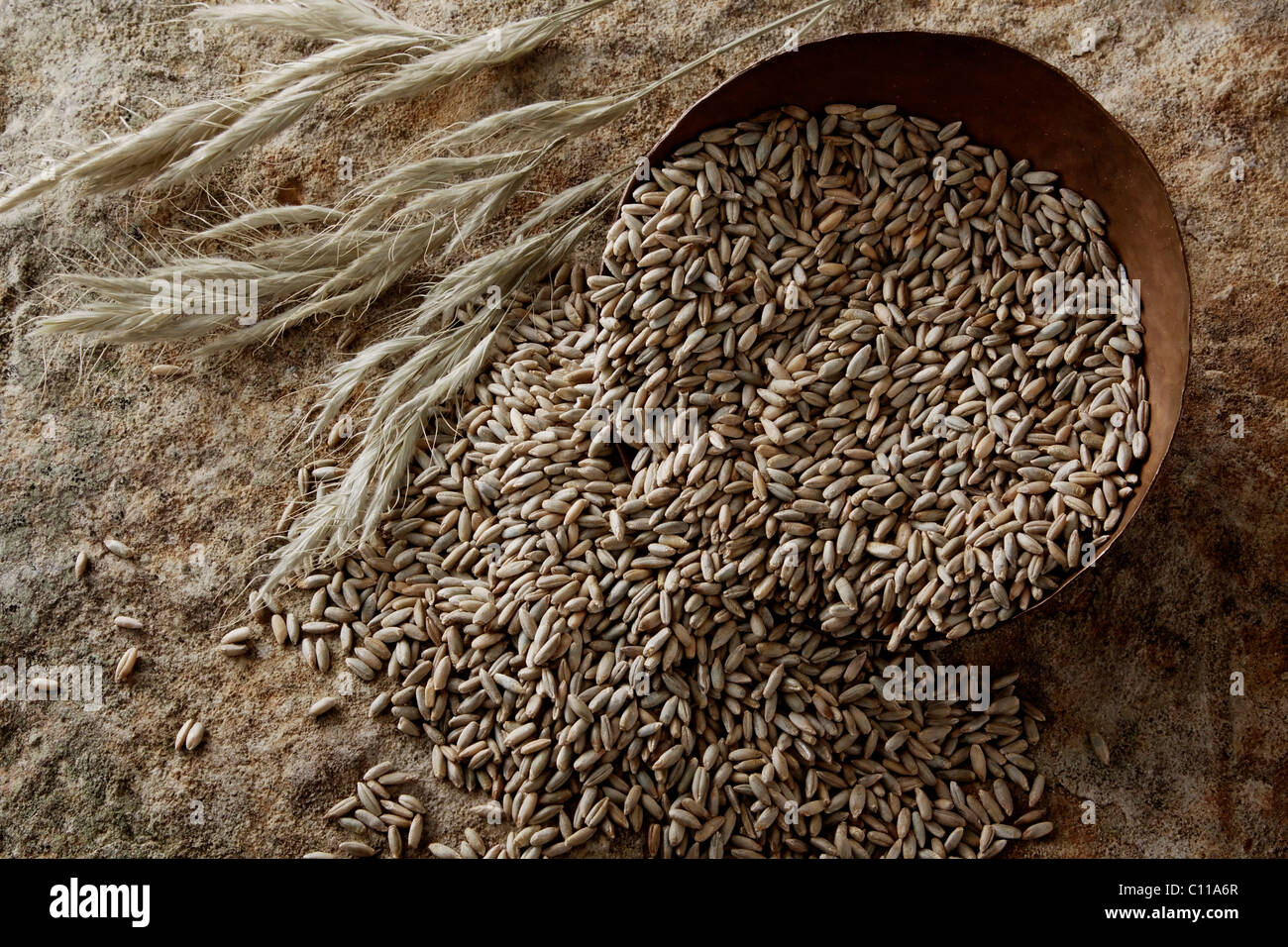 Rye grains (Secale cereale) in a copper bowl on a stone surface Stock ...