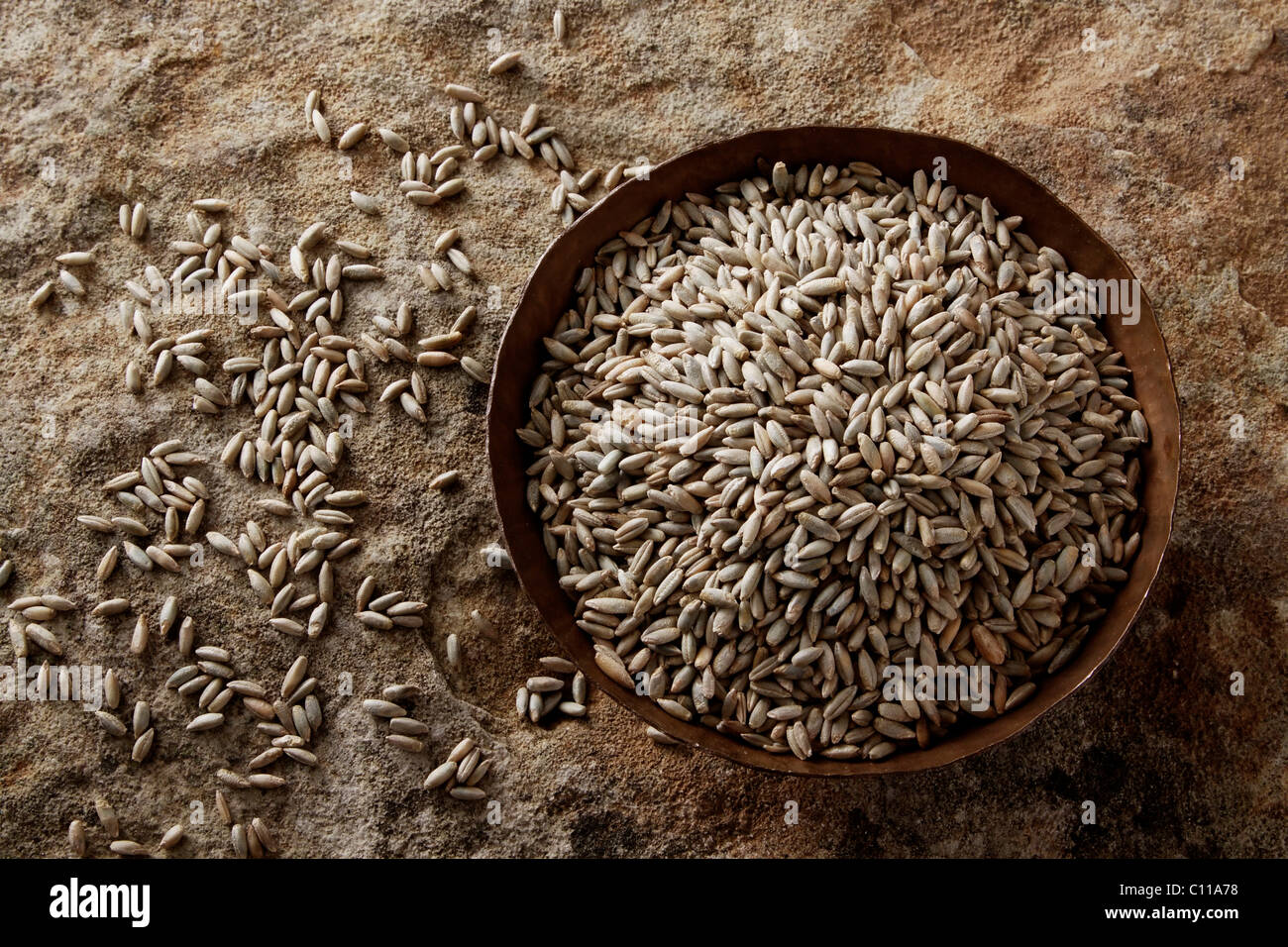 Rye grains (Secale cereale) in a copper bowl on a stone surface Stock ...