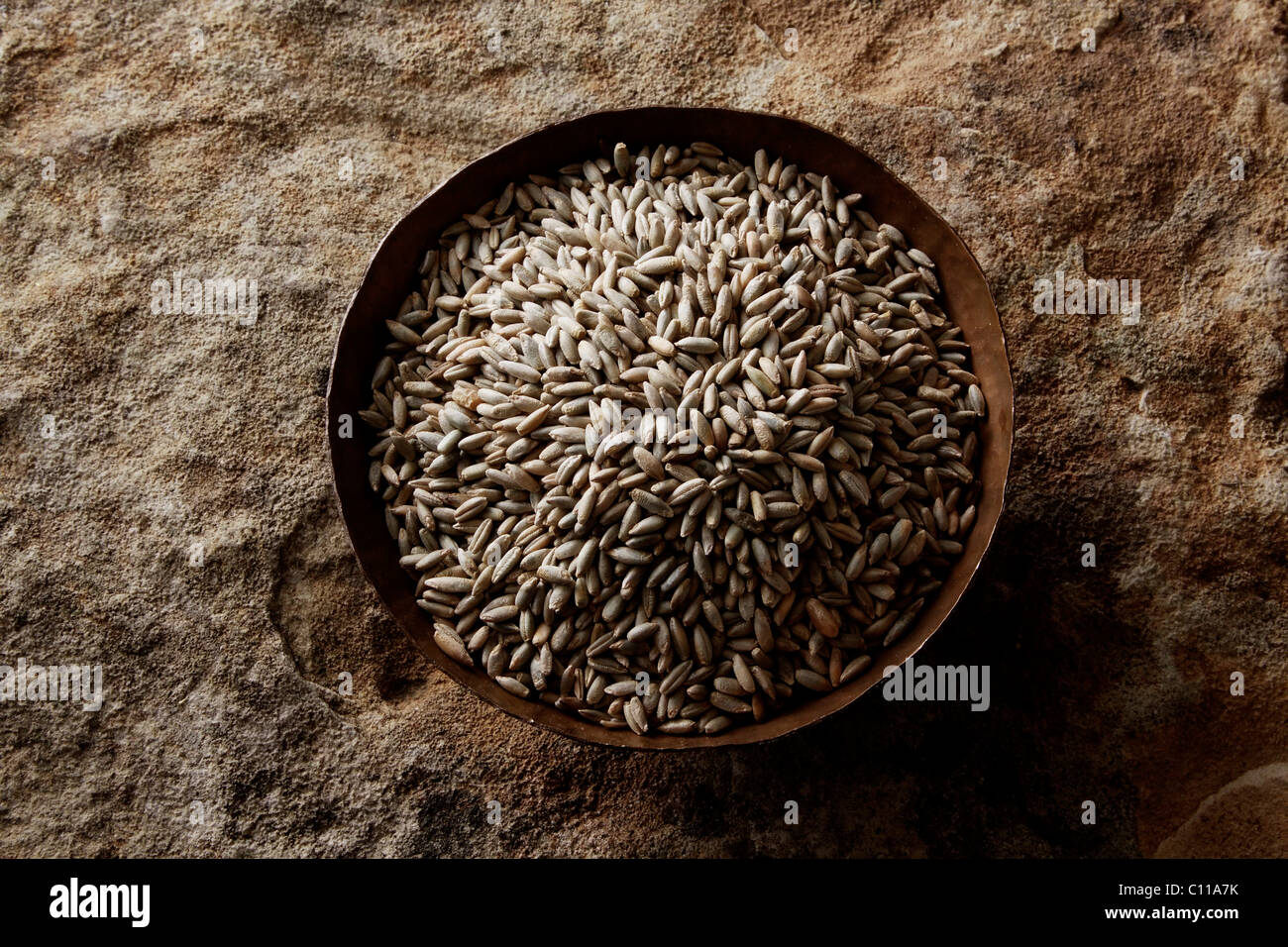 Rye grains (Secale cereale) in a copper bowl on a stone surface Stock ...