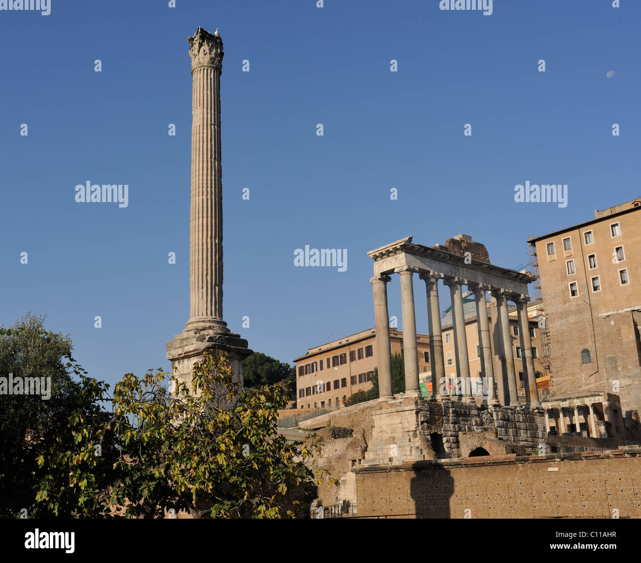 Column of Phocas and columns of the Temple of Saturn in the Roman Forum ...