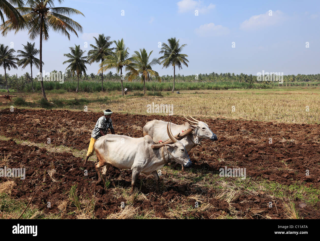 Farmer plowing field hi-res stock photography and images - Alamy