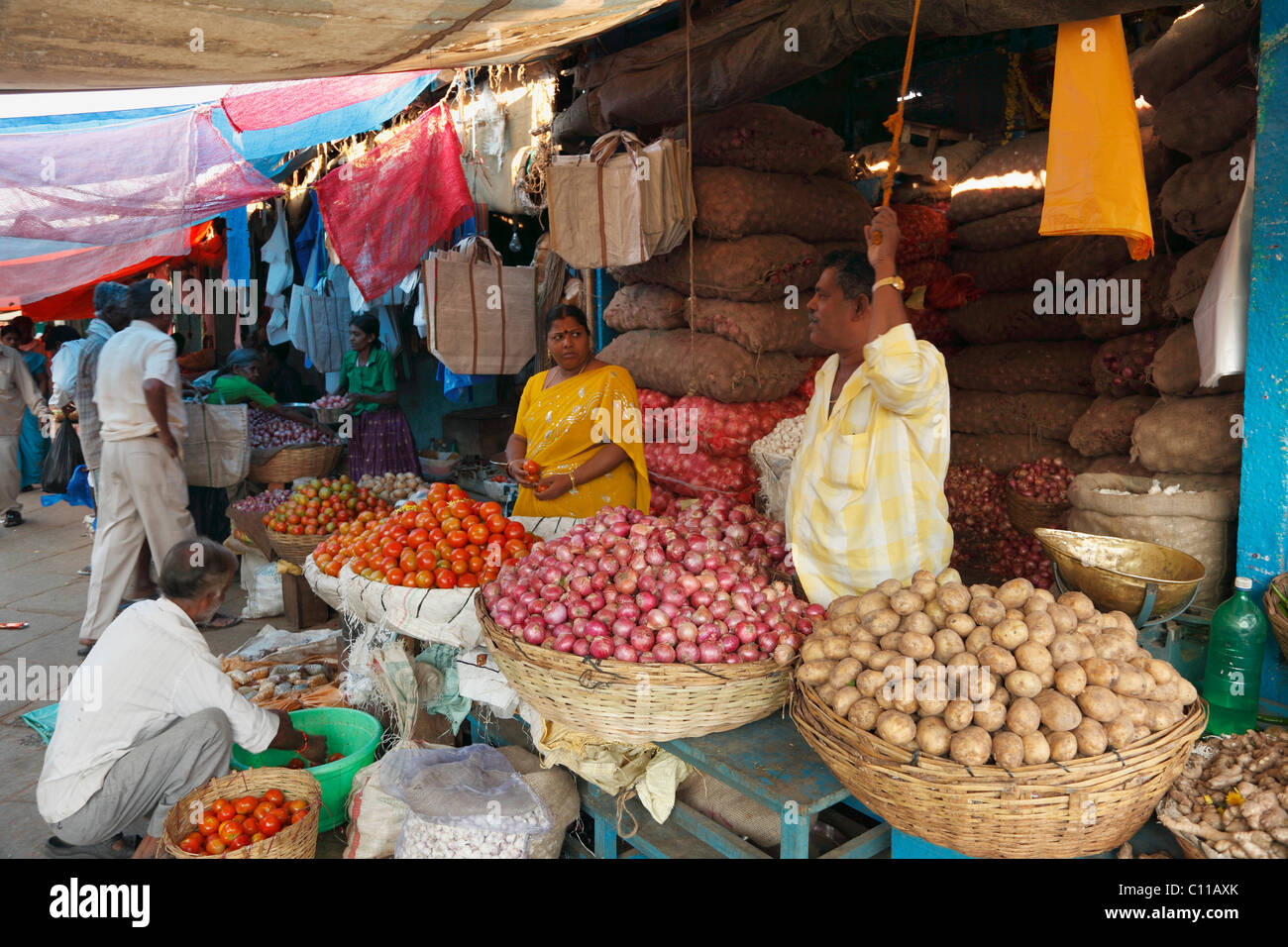 Indian onions hi-res stock photography and images - Alamy