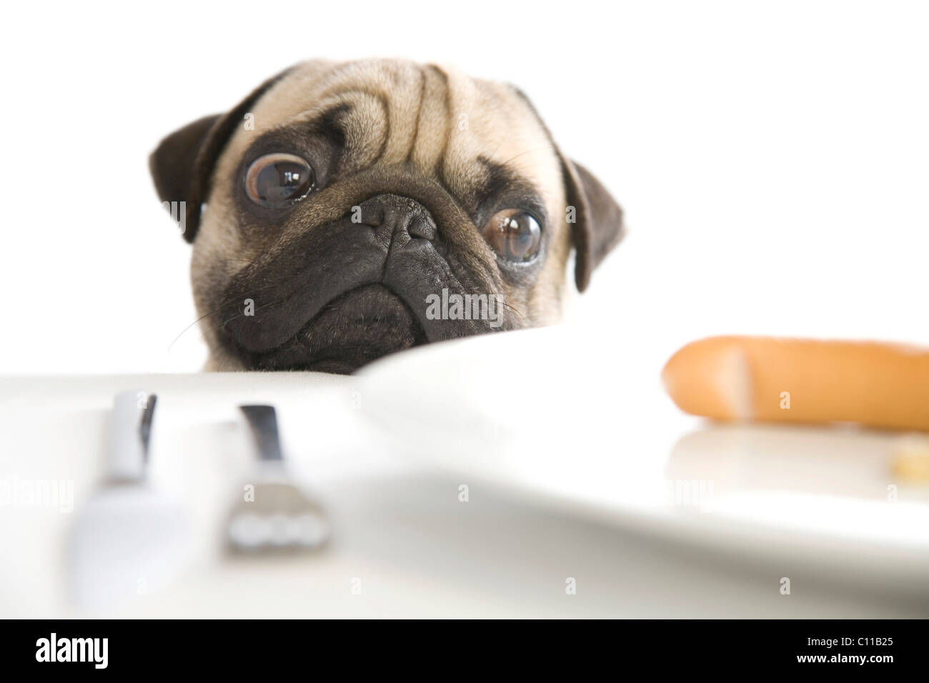 Behind the plate hi-res stock photography and images - Alamy