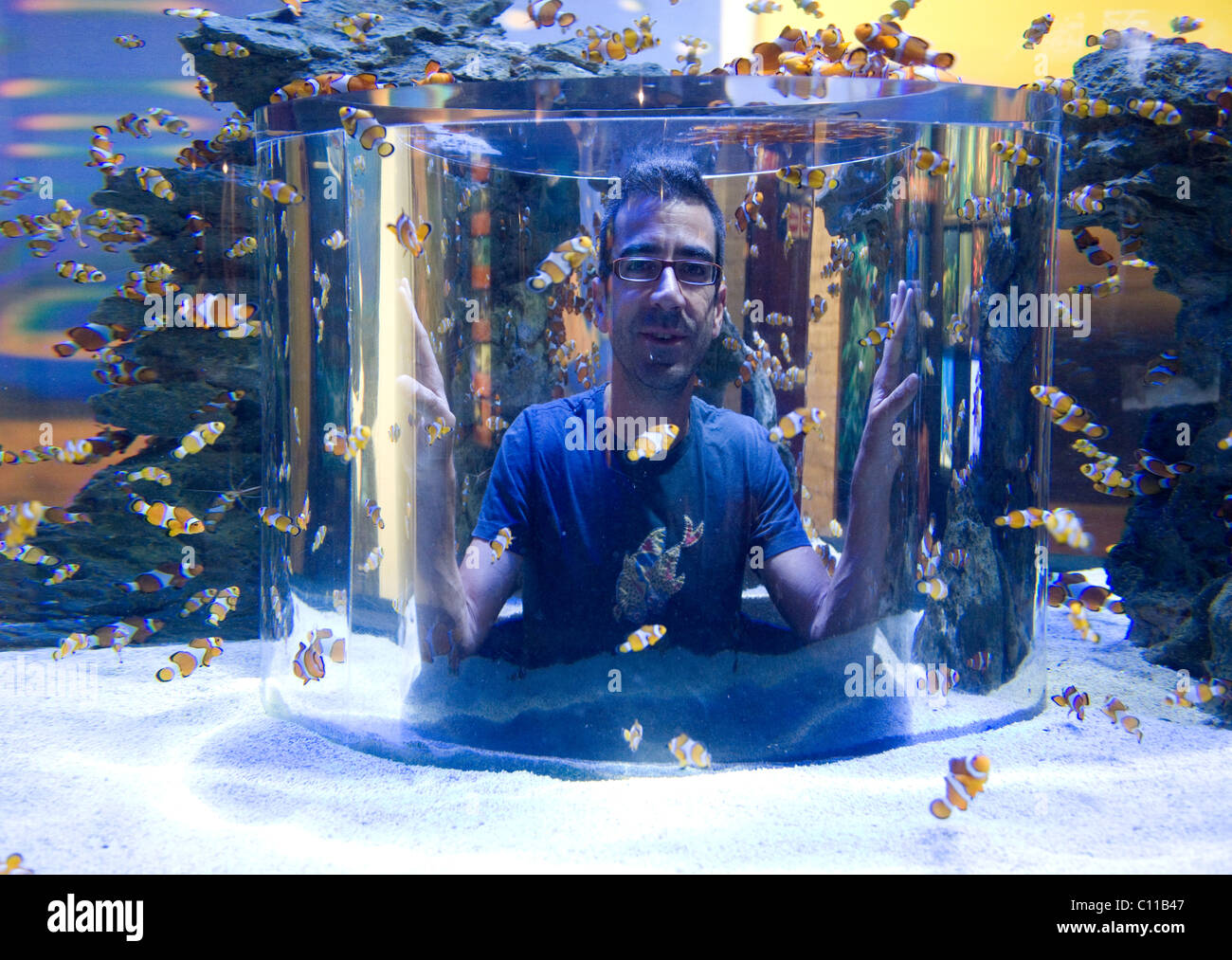 Man inside capsule within Clown Fish tank Stock Photo - Alamy