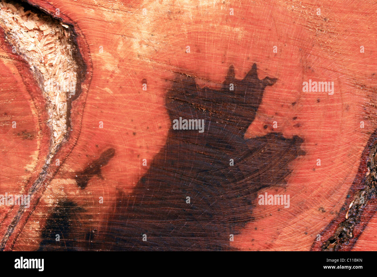 Wallonie, Nassogne, Belgium Stock Photo - Alamy
