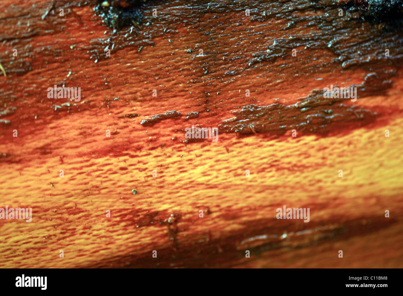 Nassogne hi-res stock photography and images - Alamy