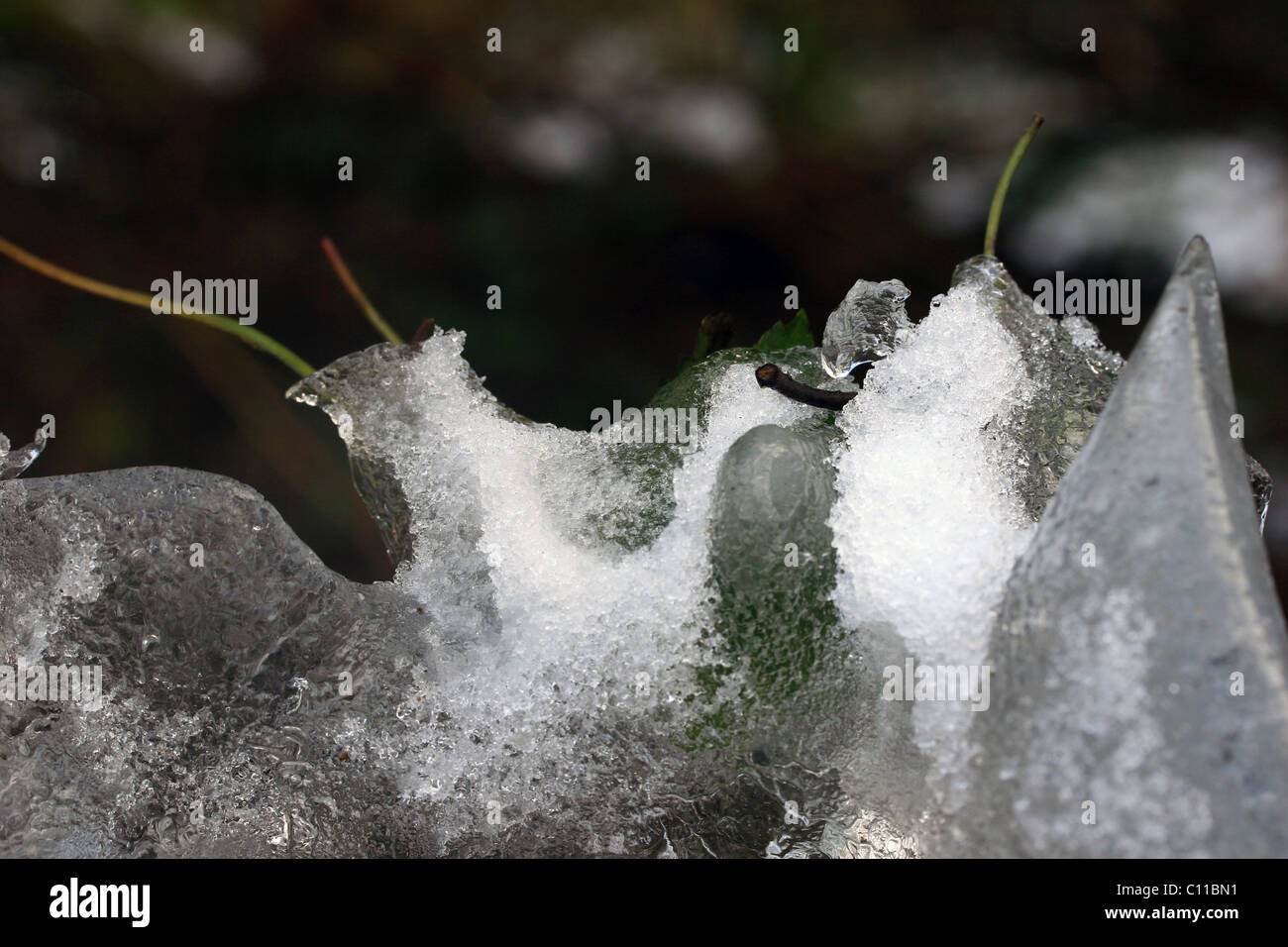 Wallonie, Nassogne, Belgium Stock Photo - Alamy
