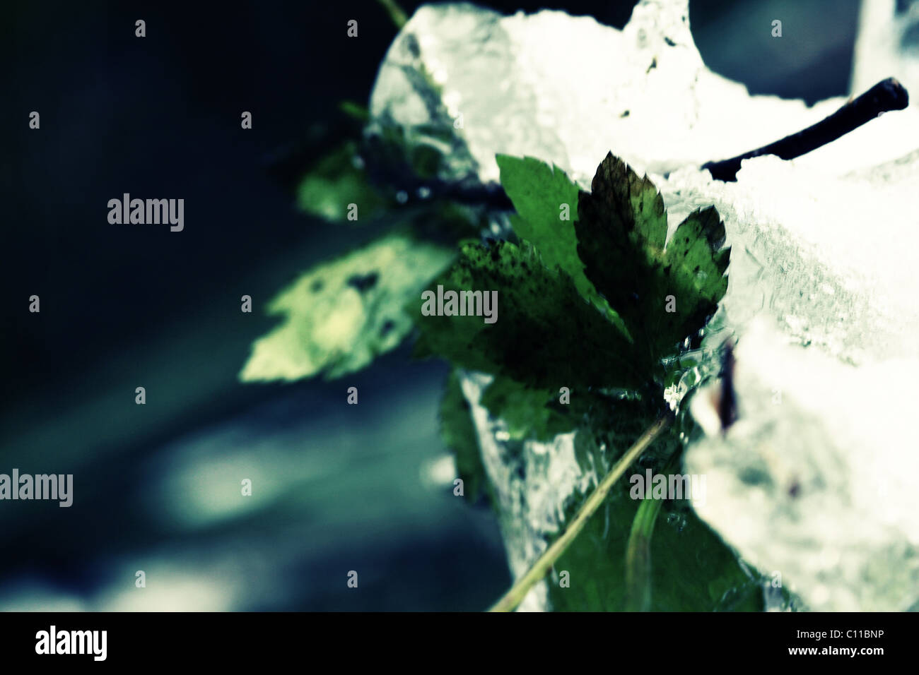 Wallonie, Nassogne, Belgium Stock Photo - Alamy