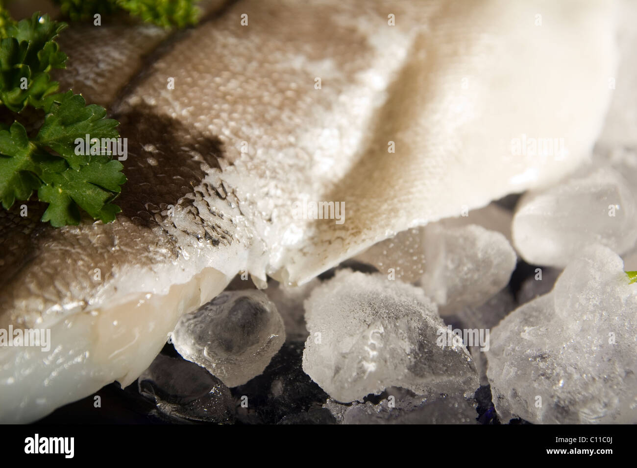 fillet of Haddock on blue plate Stock Photo - Alamy