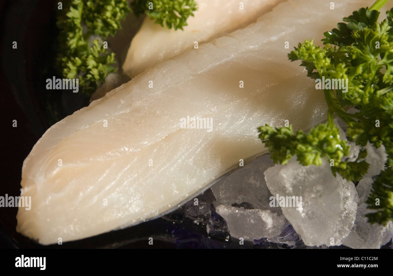 fillet of Haddock on blue plate Stock Photo - Alamy