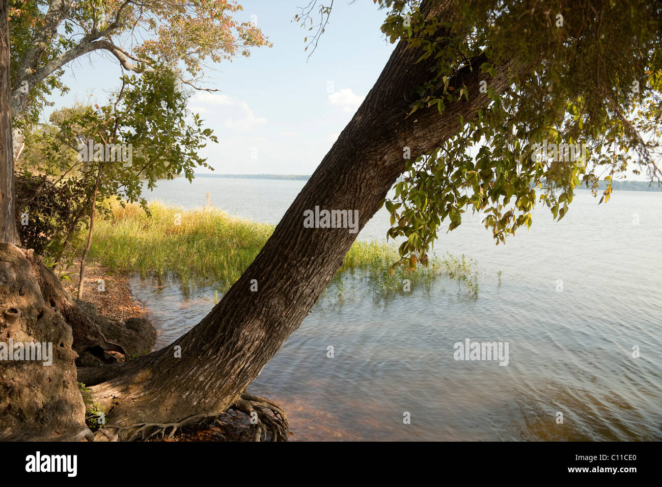 James river plantation hi-res stock photography and images - Alamy