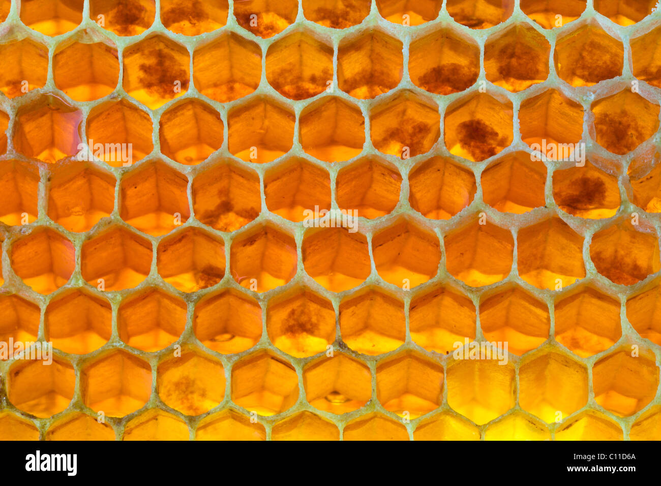 Honeycomb Pattern Stock Photos & Honeycomb Pattern Stock Images - Alamy