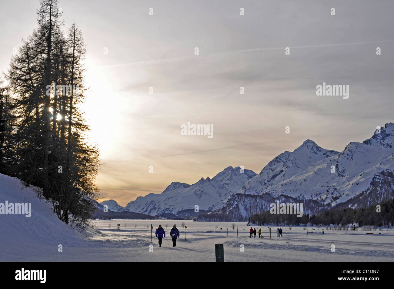 Sils maria switzerland hi-res stock photography and images - Alamy