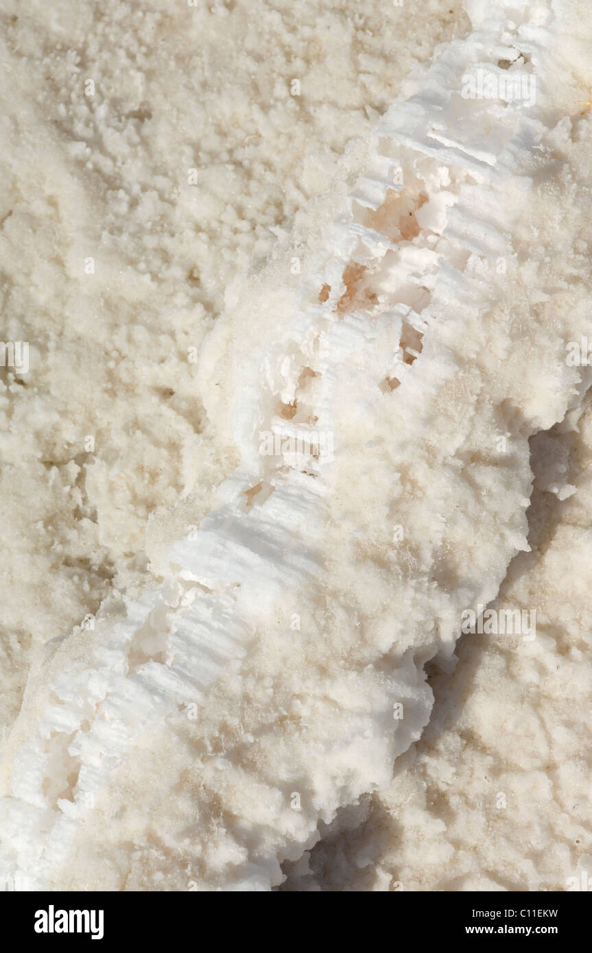 Salt pan polygons death valley hi-res stock photography and images - Alamy