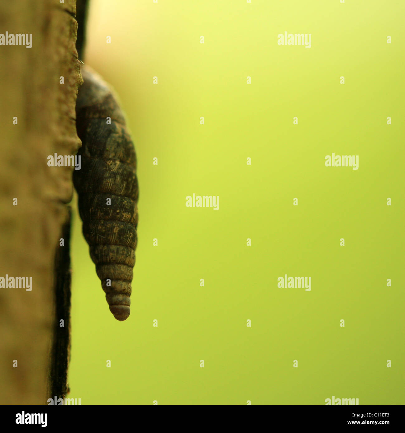 Wallonie, Senenne, Belgium Stock Photo - Alamy