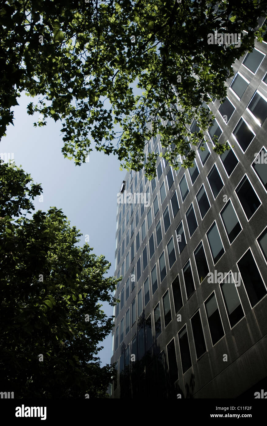 Building rising over tree top Stock Photo - Alamy
