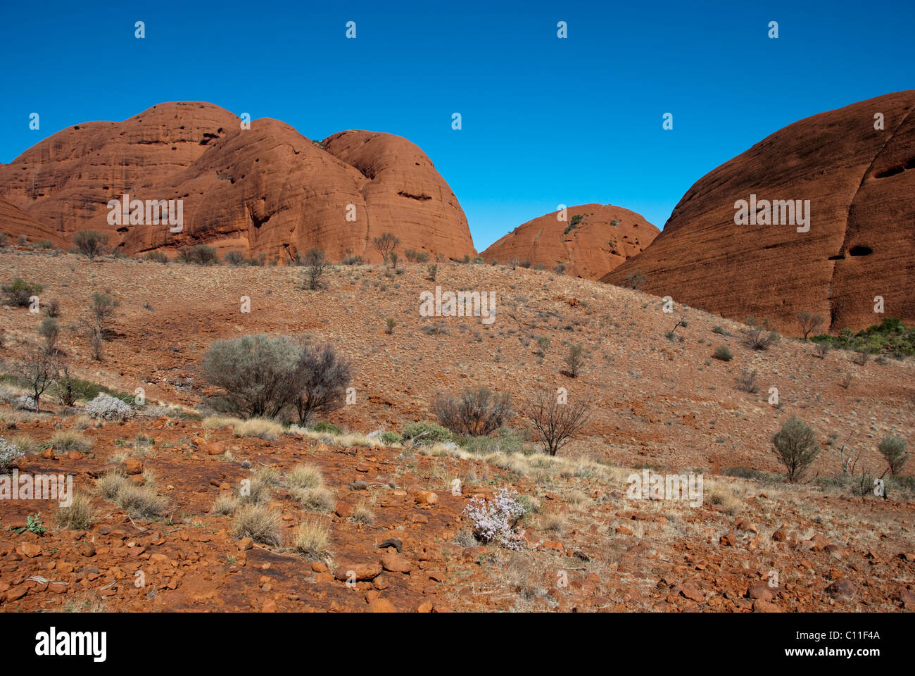 Australian Outback during Austral Winter, 2009 Stock Photo - Alamy