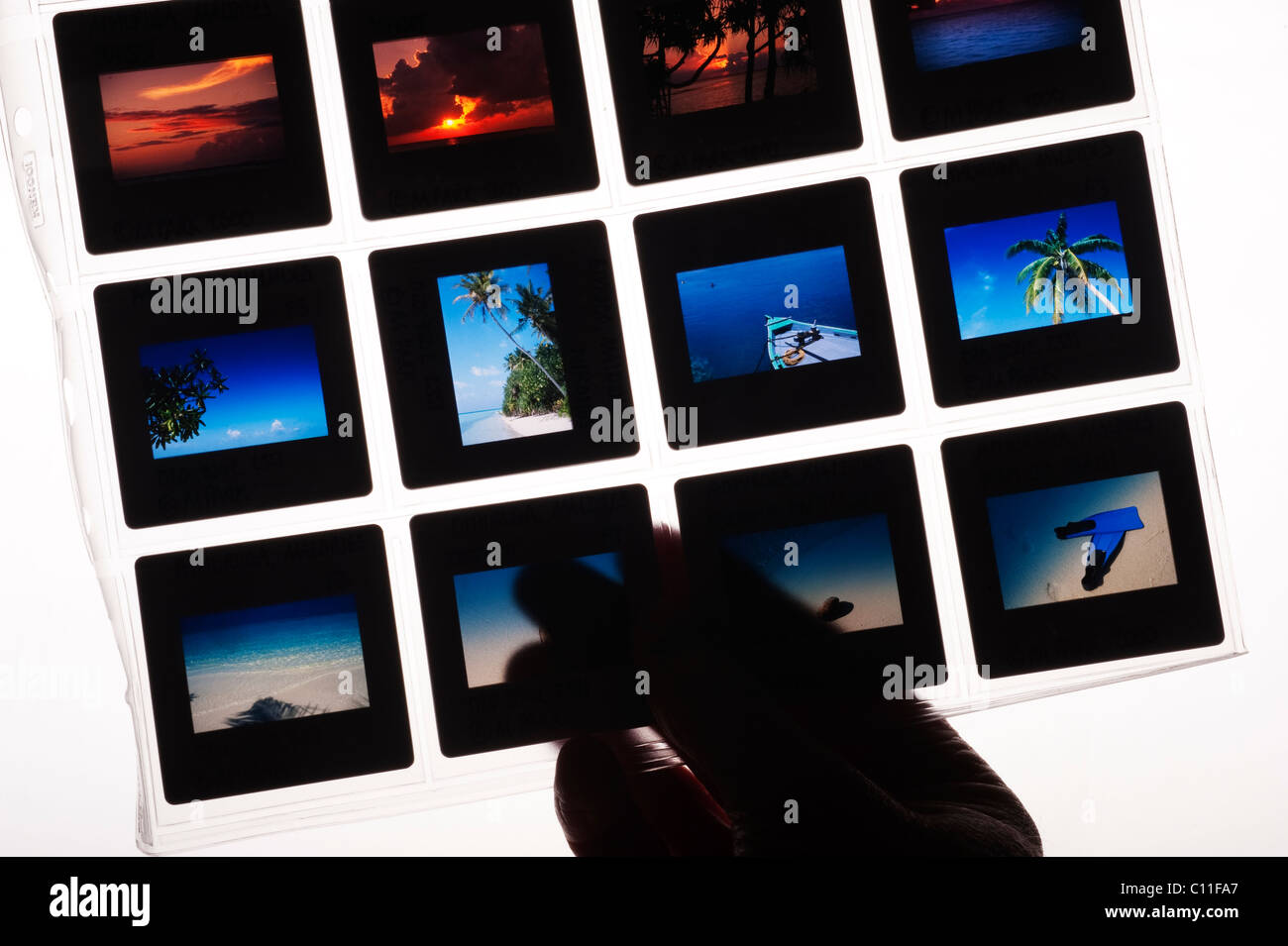 Picture editor examining a selection of mounted 35mm transparencies ...