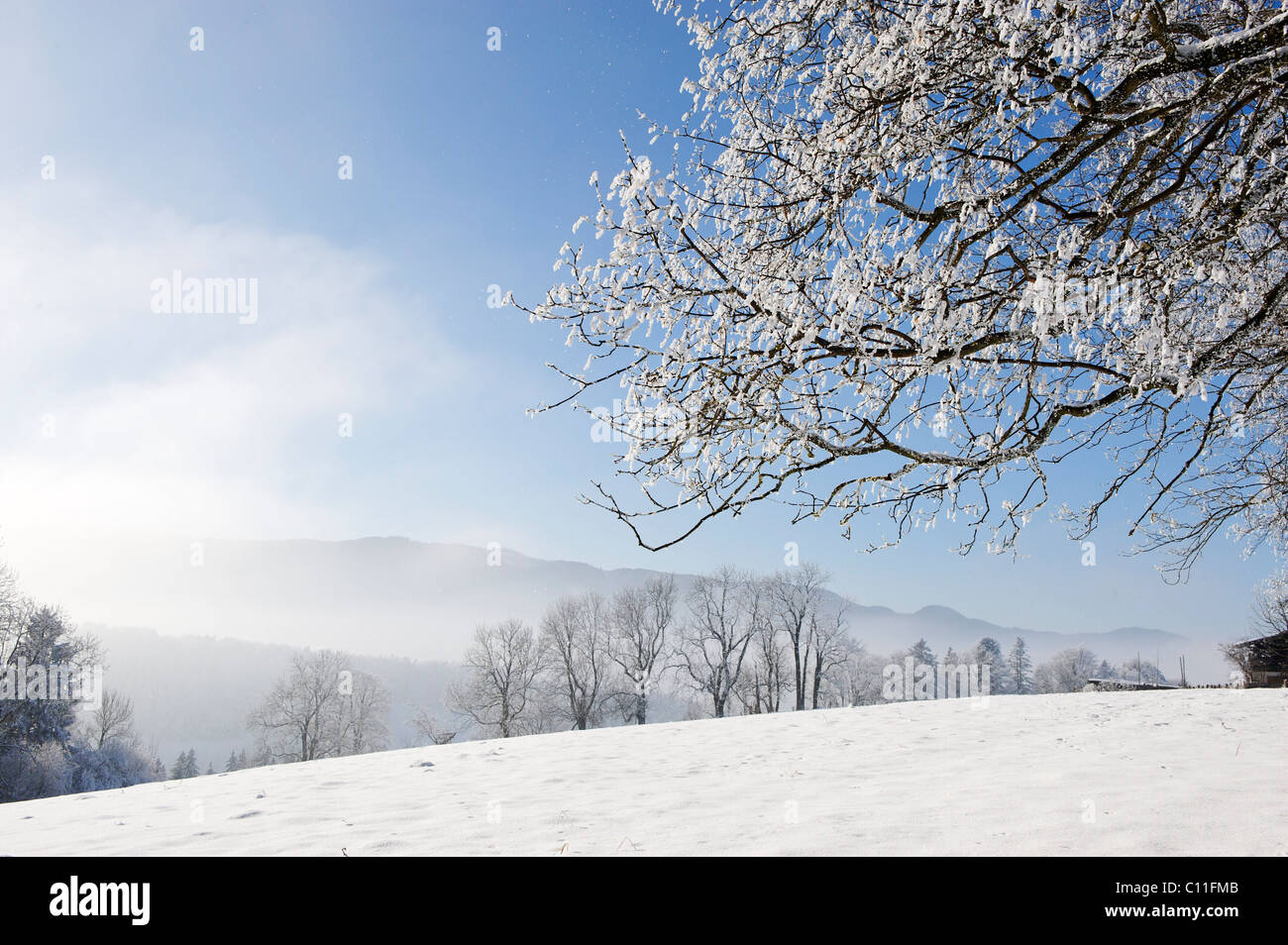 Gunetsrhain hi-res stock photography and images - Alamy