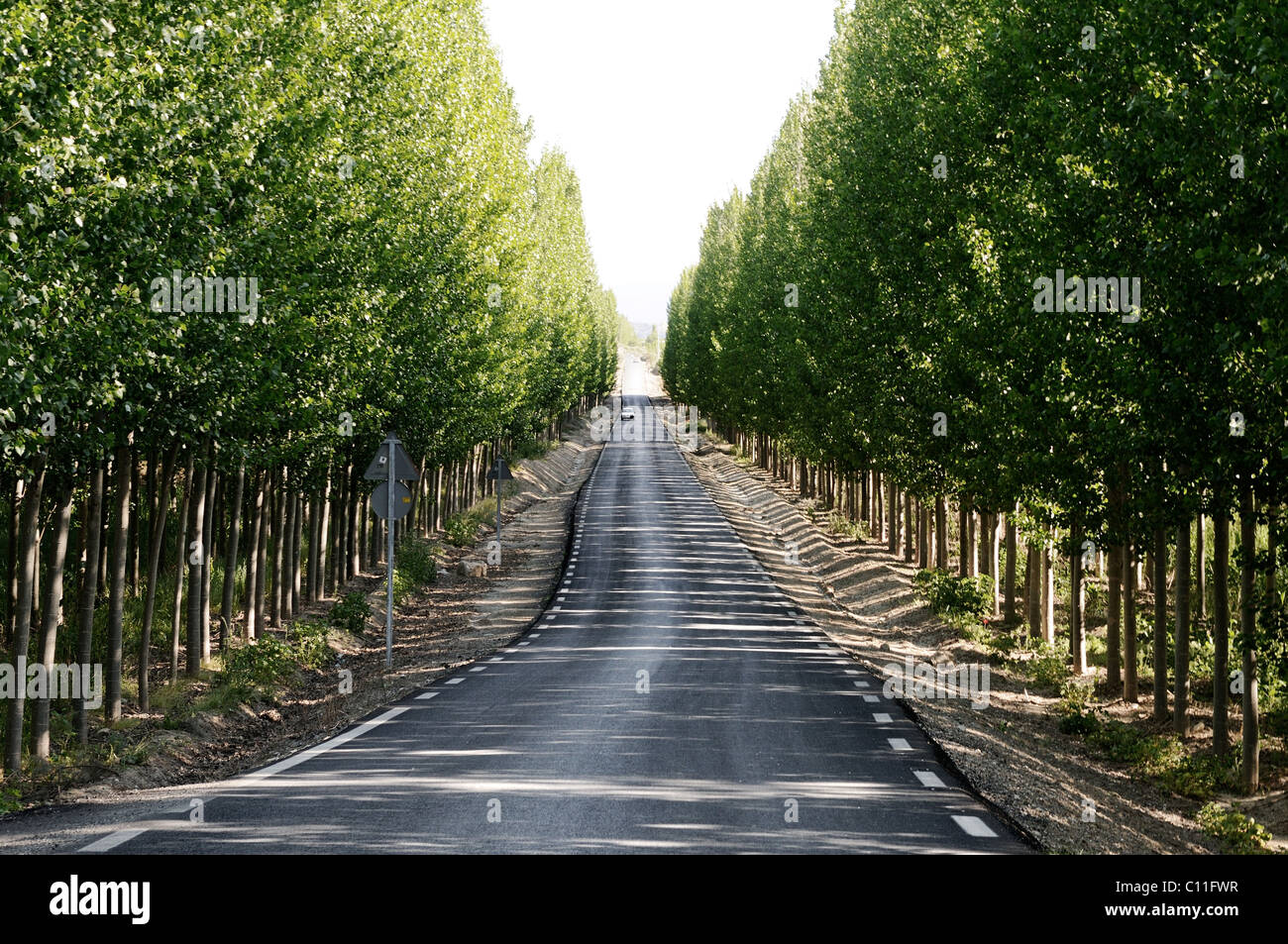 Path of a long straight road Stock Photo - Alamy
