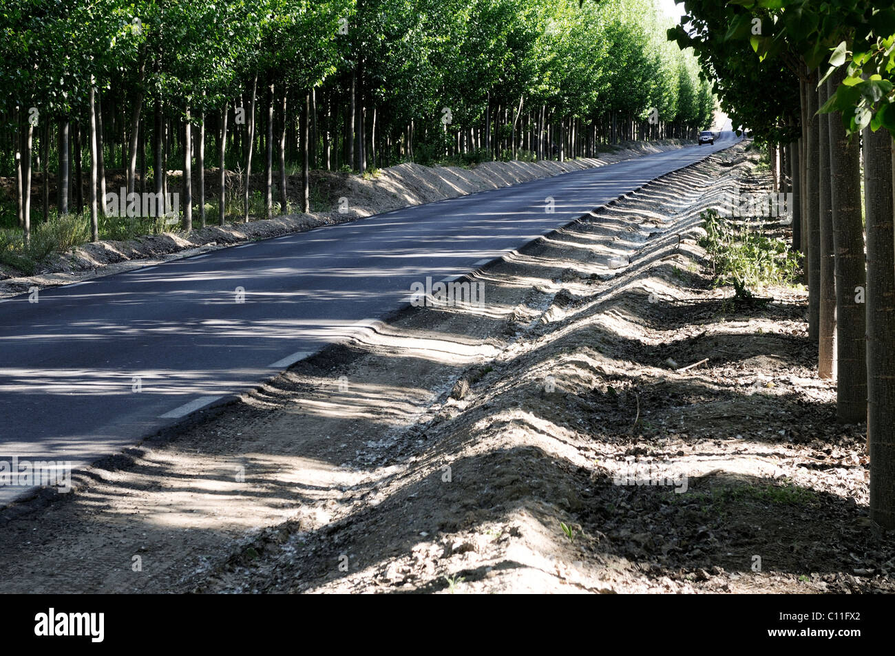 A straight path hi-res stock photography and images - Alamy