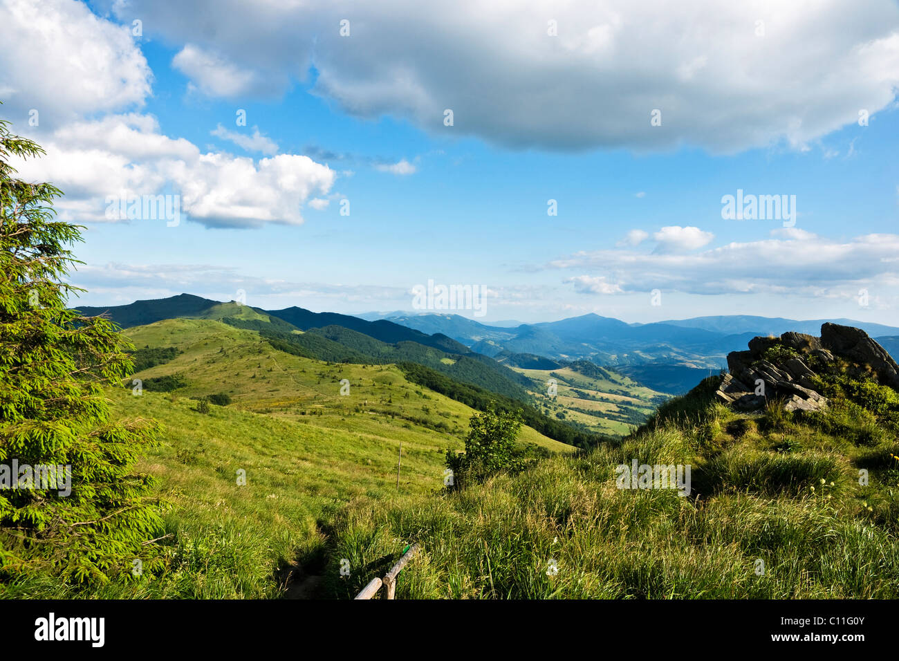 Border green hi-res stock photography and images - Alamy