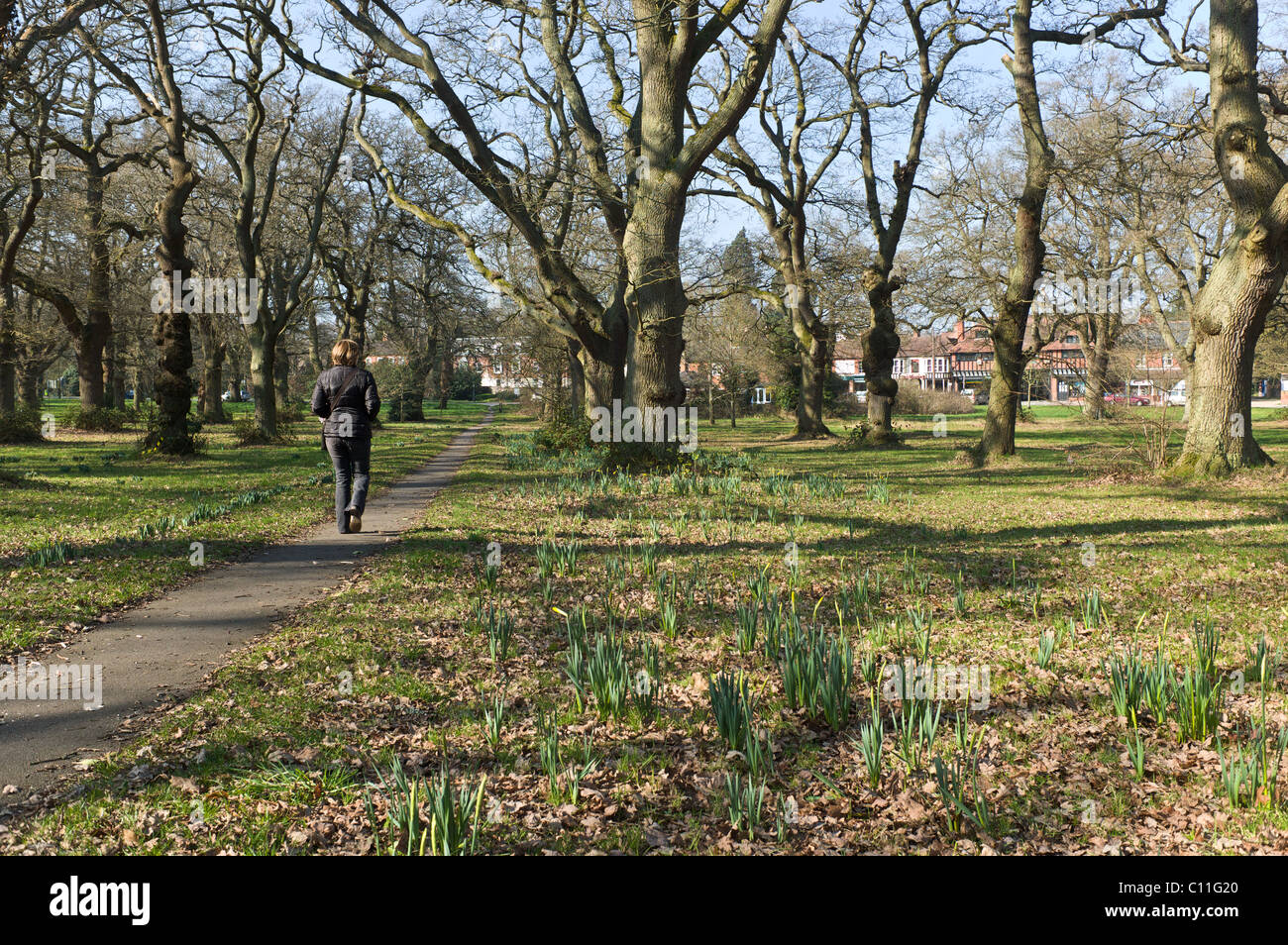 Spring in the Park Stock Photo - Alamy