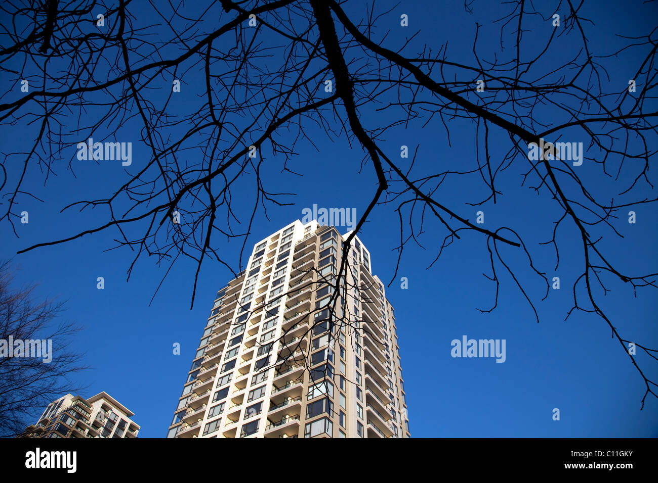 High apartment building with a tree Stock Photo - Alamy