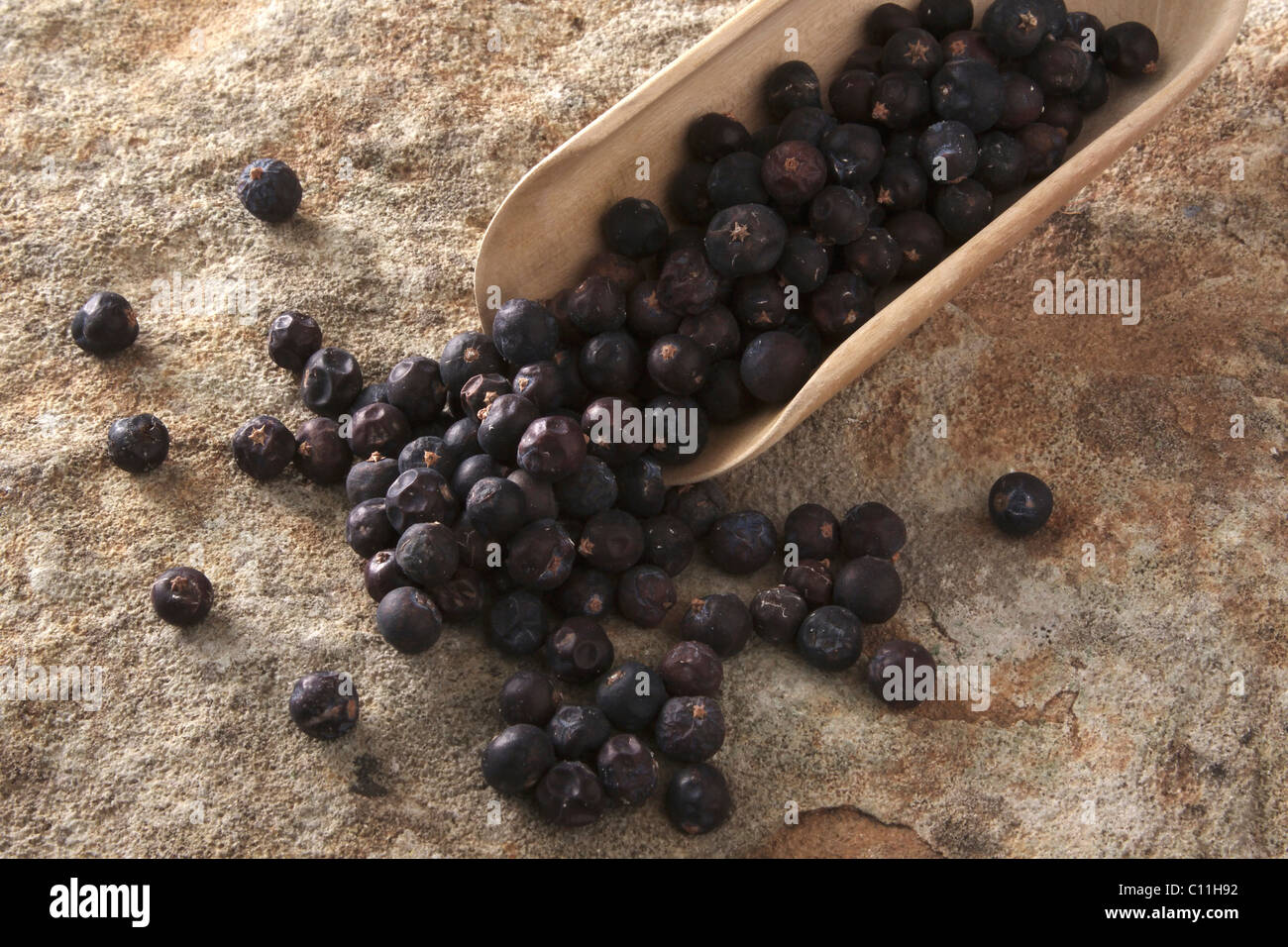 Juniper (Juniperus) with a wooden shovel, on stone surface Stock Photo ...
