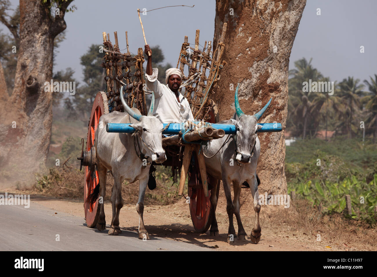 Ox cart india hi-res stock photography and images - Alamy